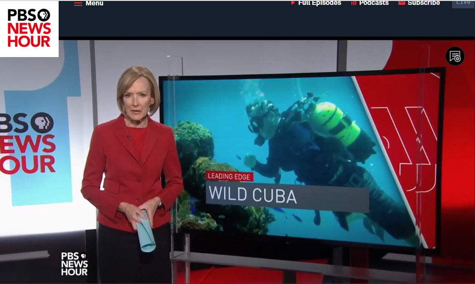 PBS NewsHour Features Ocean Doctor's Work in Cuba | Ocean Doctor
